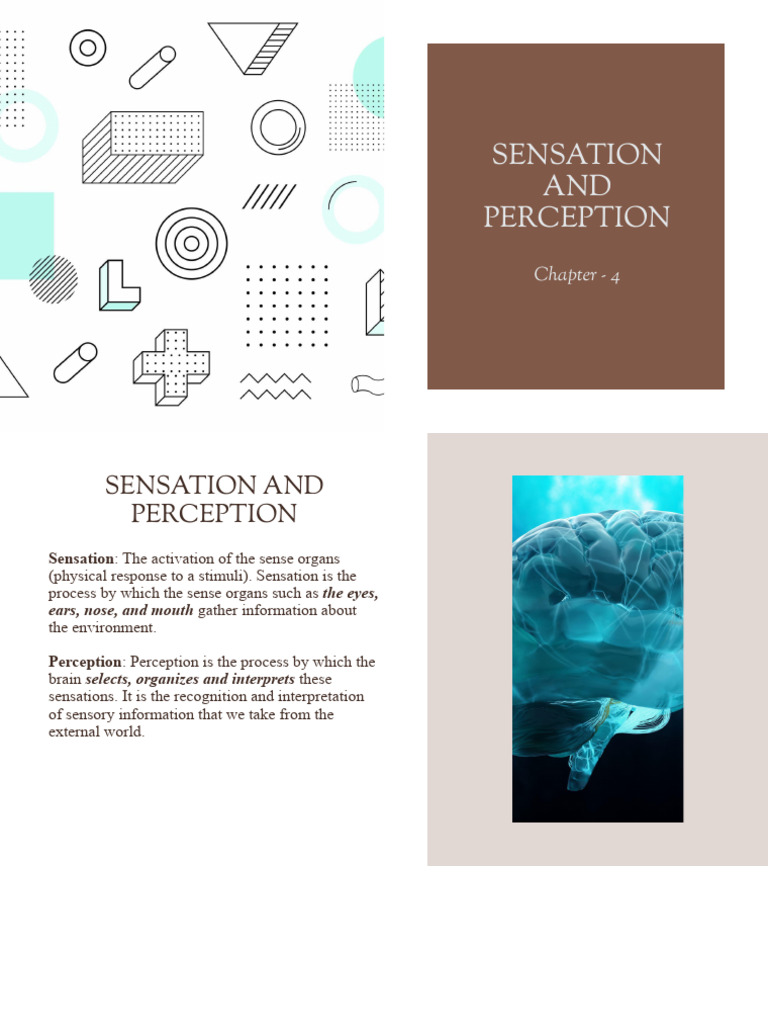 Sensation - Perception | PDF | Senses | Perception