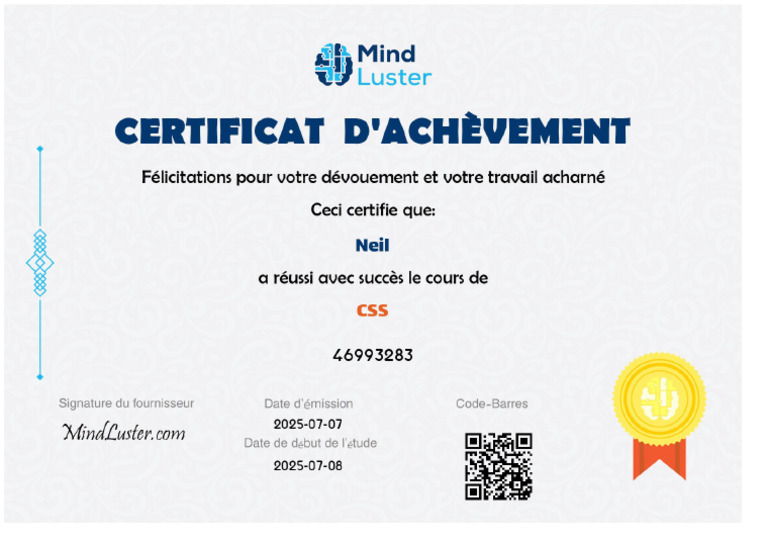 Mindluster Certificate | PDF