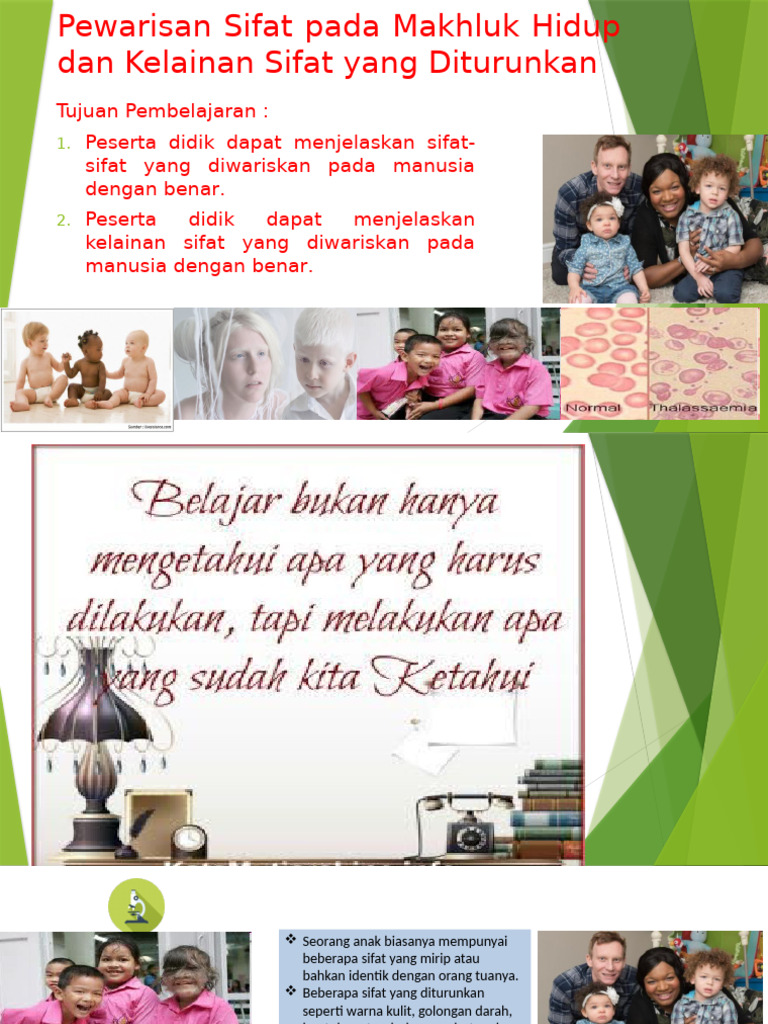 Pertemuan v - Pewarisan Sifat Golongan Darah Dan Warna Kulit | PDF