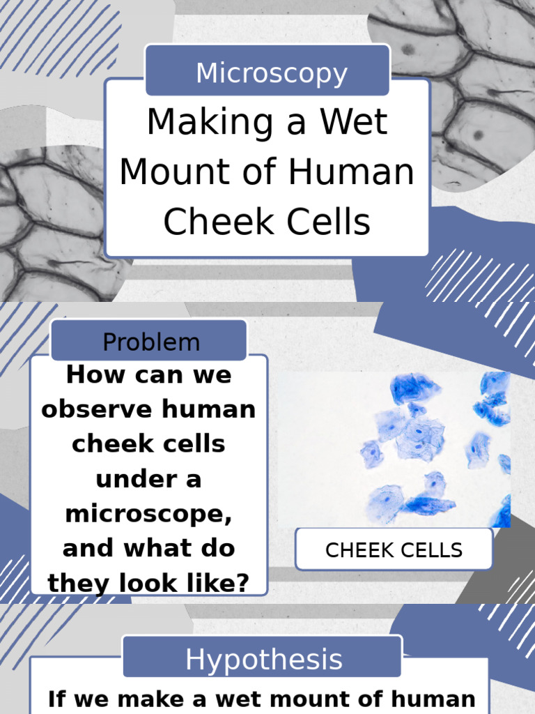 Observe Human Cheek Cells via Wet Mount | PDF