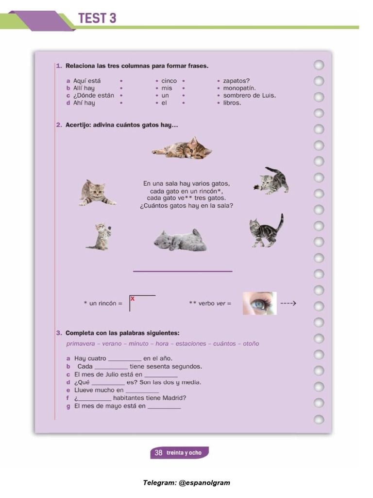 Gramática Escolar Español A1_A2 Parte 5 | PDF