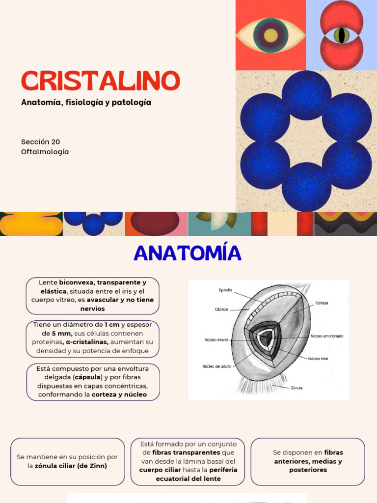 Analysing Perspective in Visual Texts Educational Presentation in Red ...