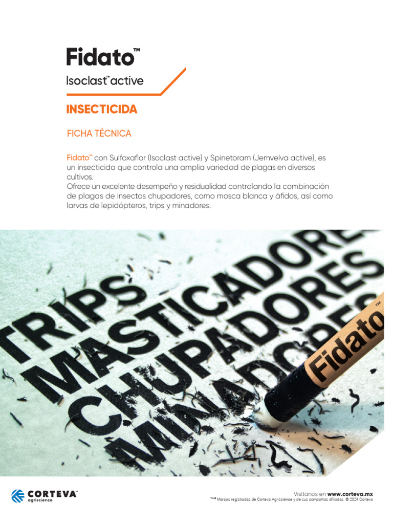 F.T. Fidato FEB 2024 | PDF | Brócoli