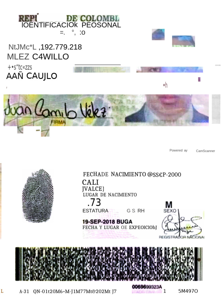 Cedula Juan Camilo Velez | PDF