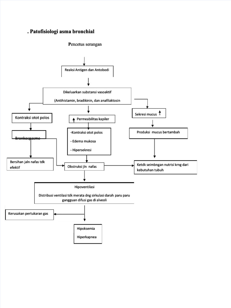 PDF Patofisiologi Asma Bronchial Compress | PDF
