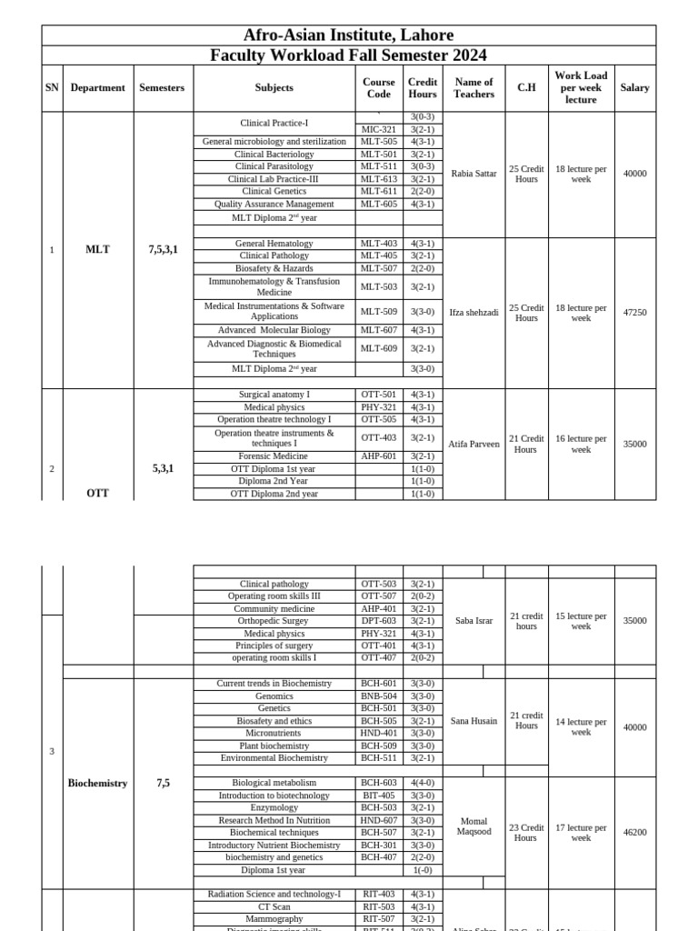 Faculty Workload Sheet 2024 | PDF | Physical Therapy | Psychology
