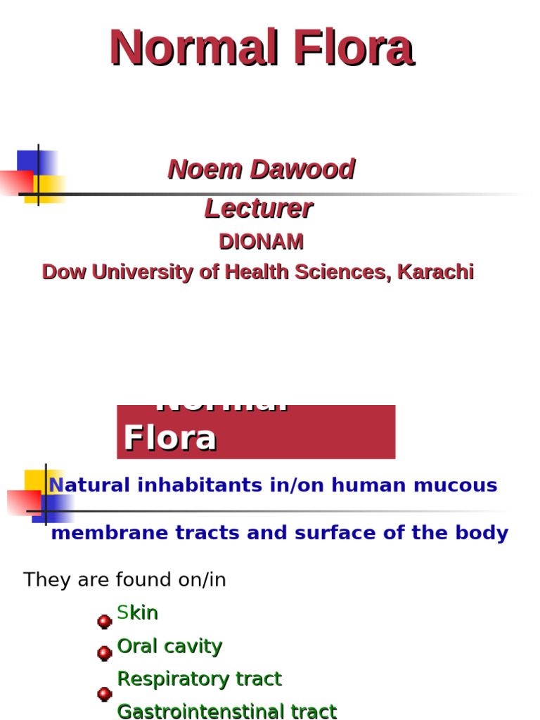 Understanding Normal Flora in Humans | PDF | Infection | Hospital ...