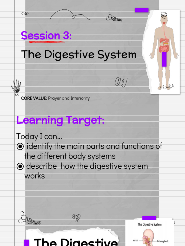 Session 3 Body Systems | PDF