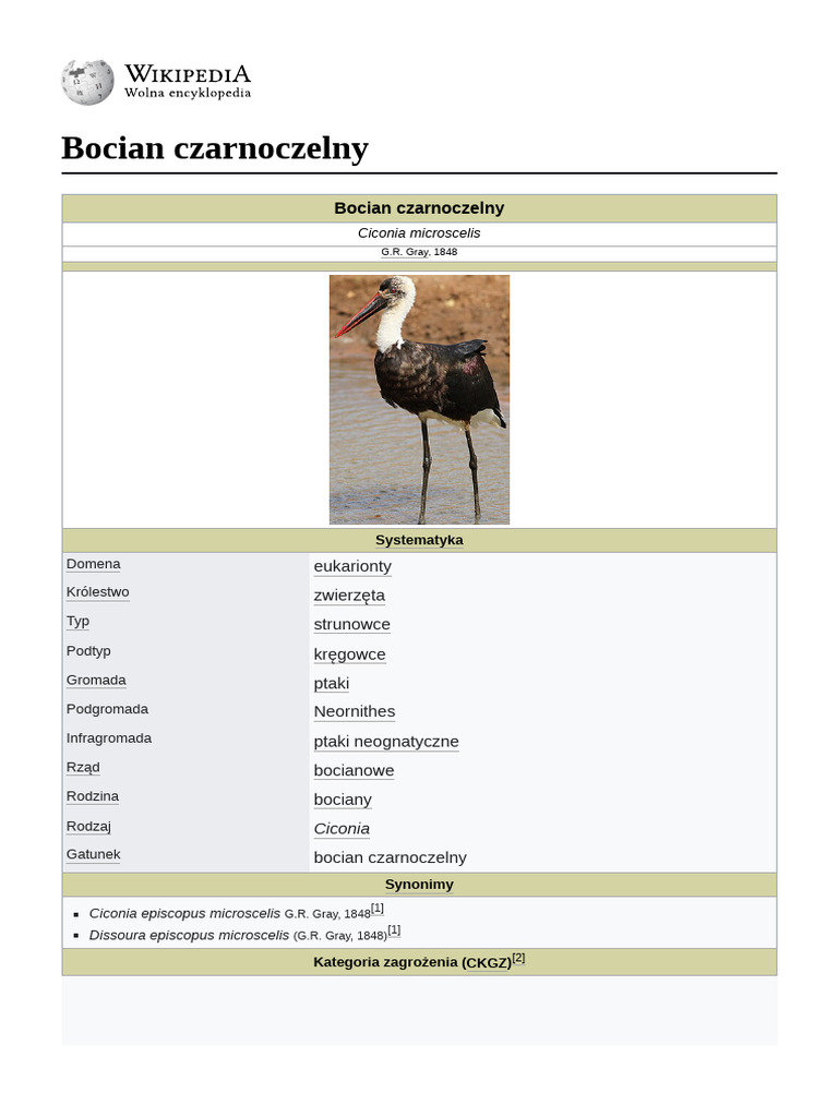 Bocian Czarnoczelny | PDF