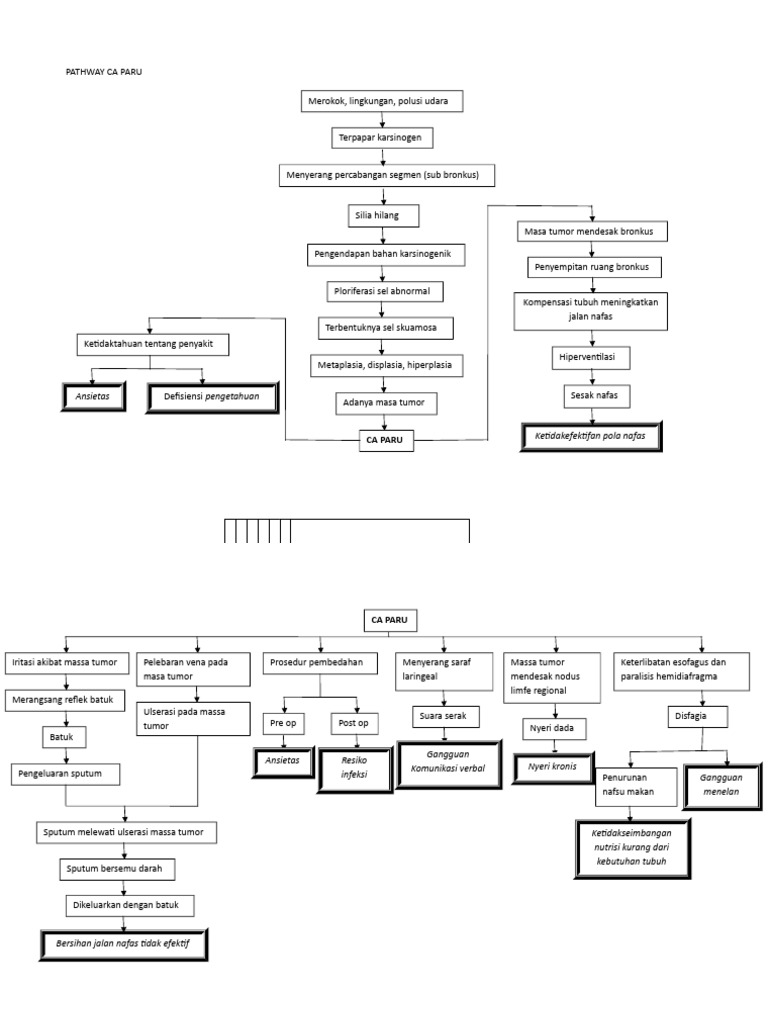 375354478-272042352-Pathway-kanker-paru-doc | PDF