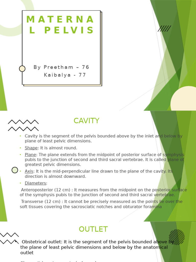 Maternal Pelvis | PDF | Pelvis | Skeletal System