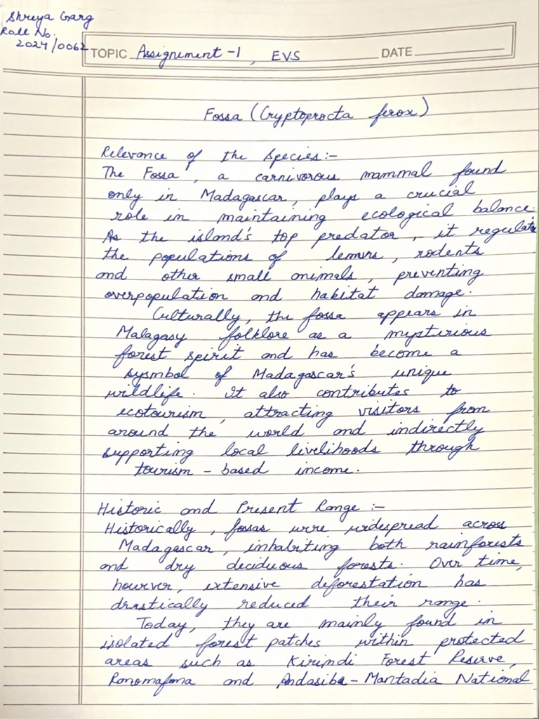 Shreya Garg - 0062 - EVS Assignment | PDF