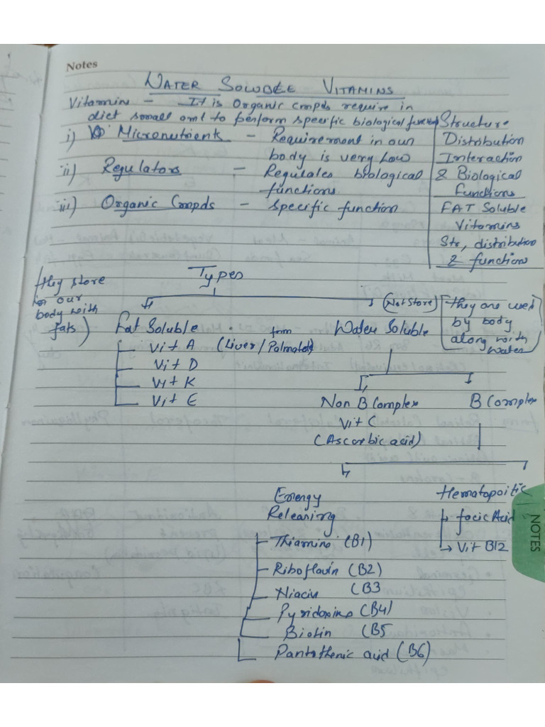 Vitamins | PDF