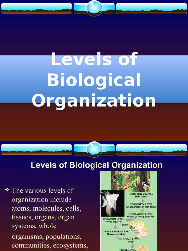 LEC5-levels of Biological Organization | PDF