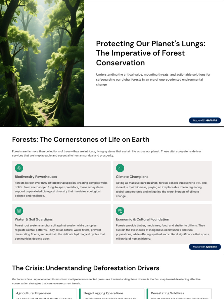 Protecting Our Planets Lungs The Imperative of Forest Conservation | PDF | Forests | Deforestation