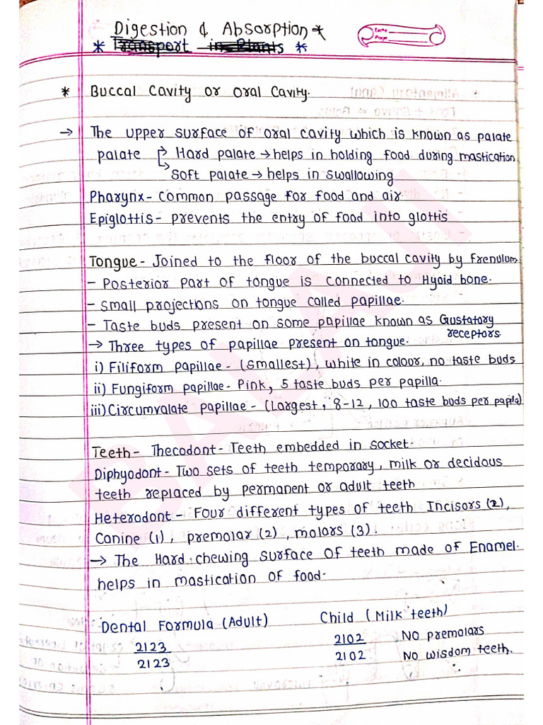 Biology Class 11th Short Notes 159 205 | PDF