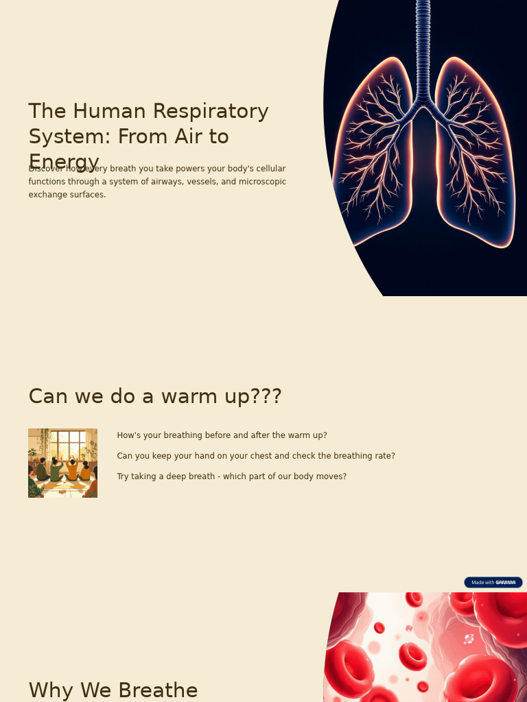 The Human Respiratory System From Air To Energy | PDF | Respiratory ...