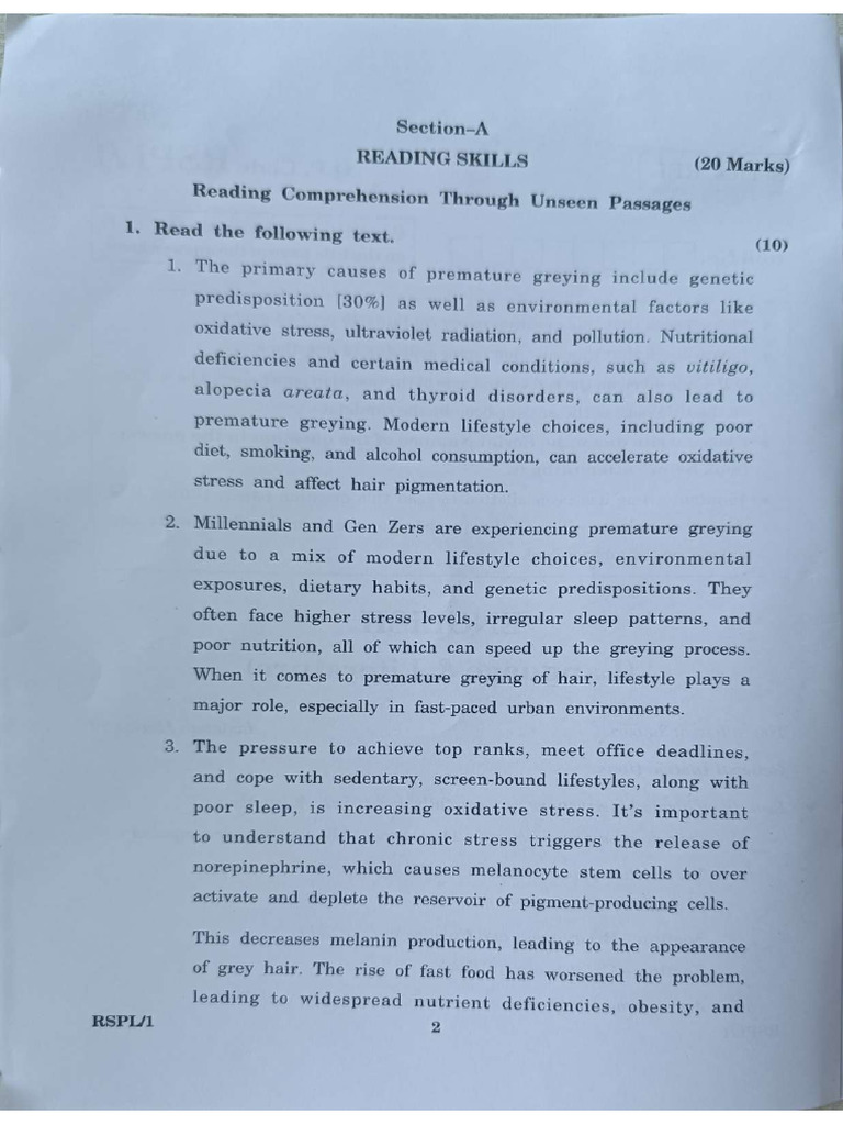 English Sample Paper | PDF