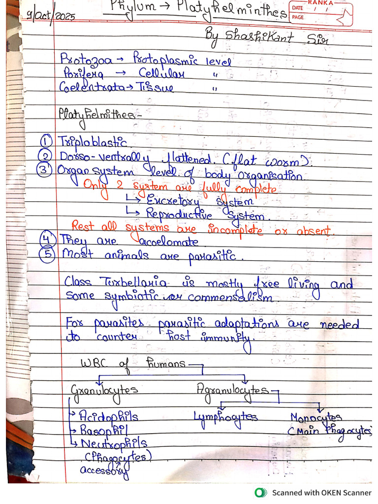 Phylum Platyhelminthes | PDF