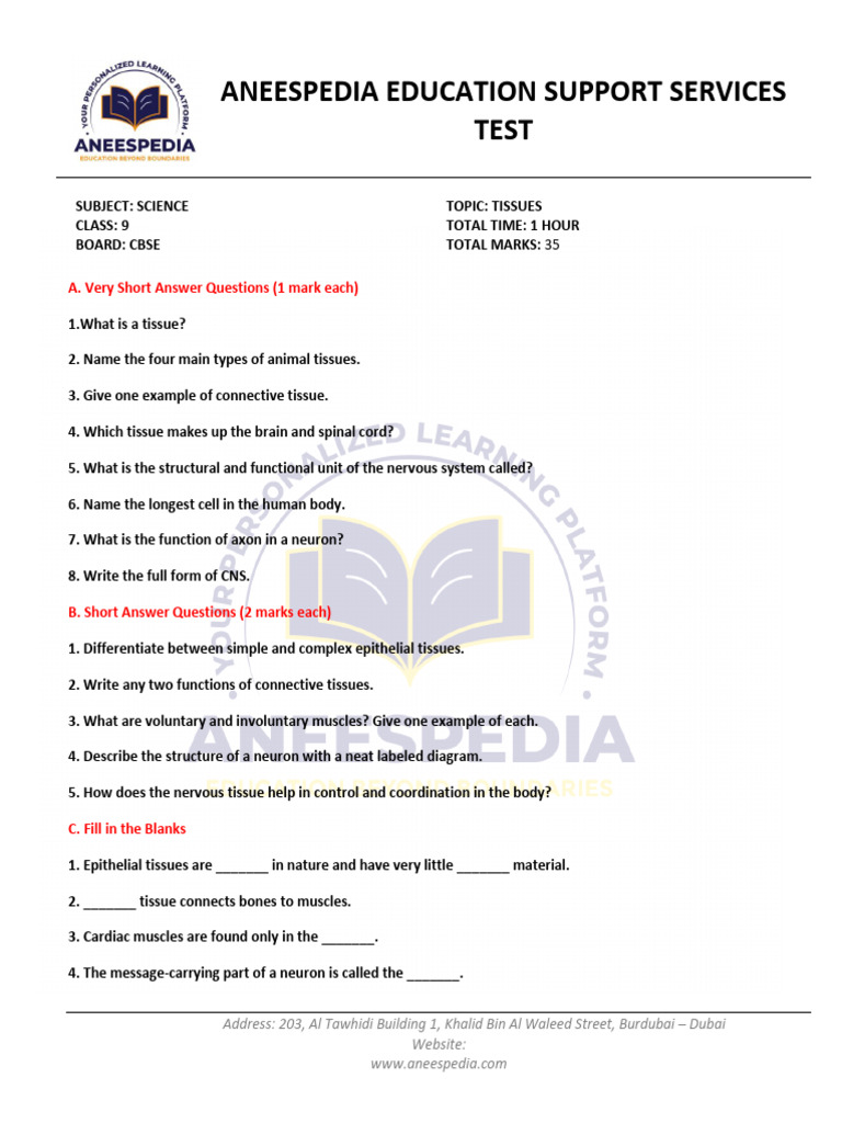 9 Cbse Science Test - Tissues | PDF | Muscle | Tissue (Biology)