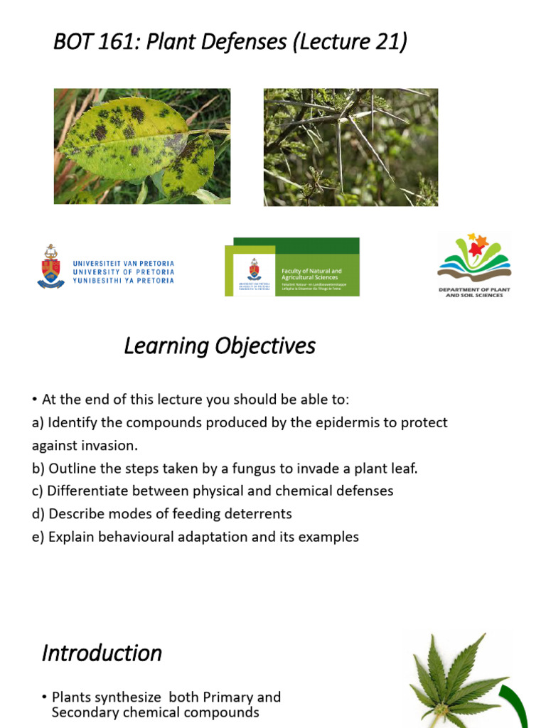 Plant Defense Mechanisms Explained | PDF | Branches Of Botany | Biology