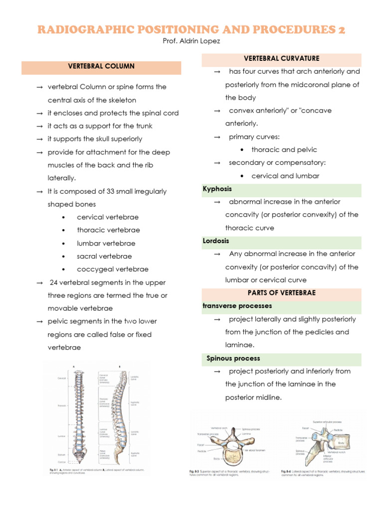 Vertebral Column Positioning Guide | PDF | Vertebra | Skeletal System