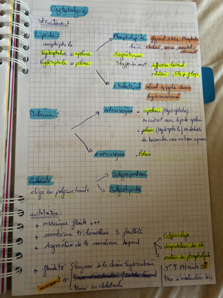 Cytologie Rabab Resumé | PDF