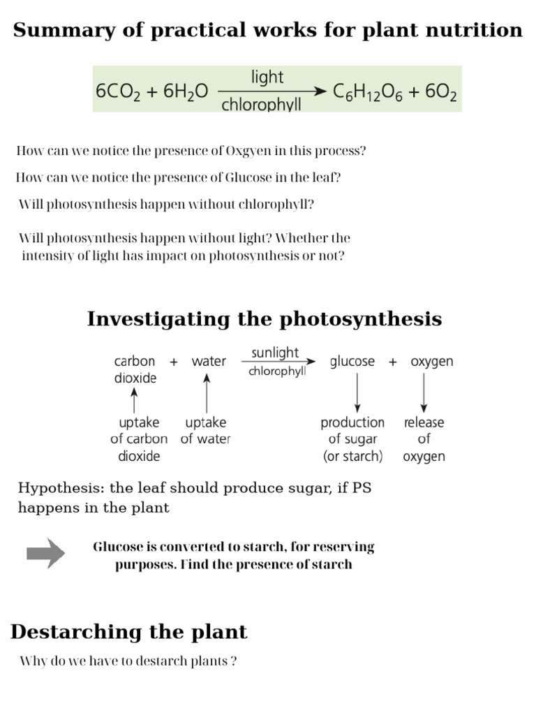 Photosynthesis Experiments and Analysis | PDF | Photosynthesis | Leaf