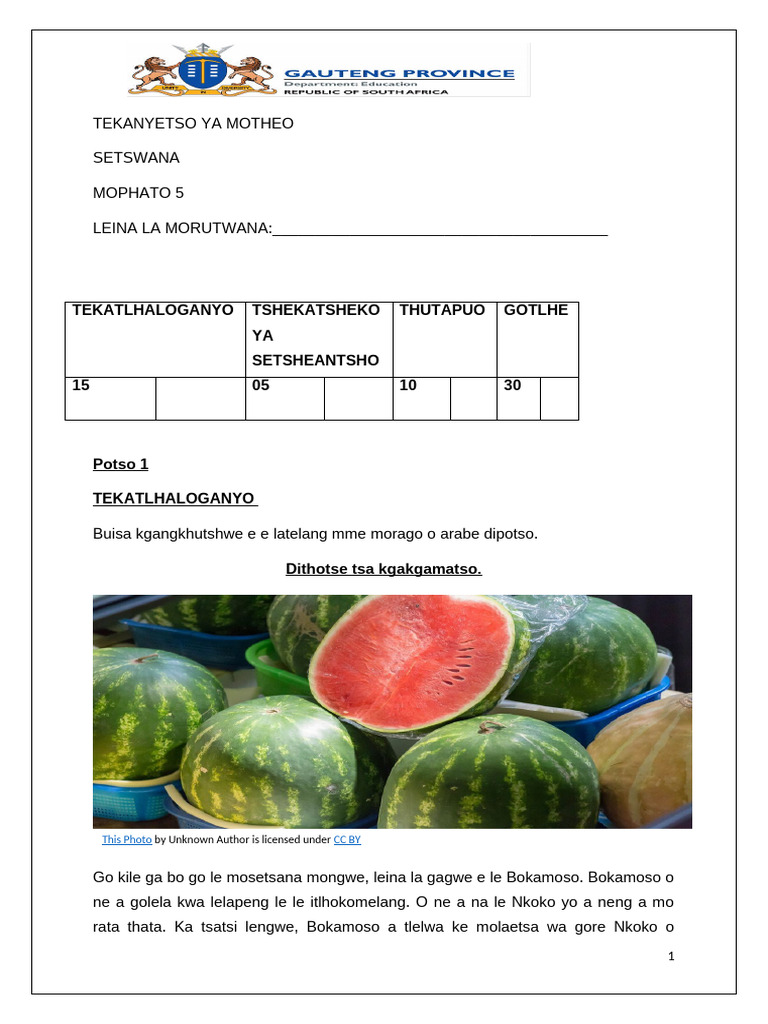 Tekanyetso Ya Motheo Mophato 5 | PDF