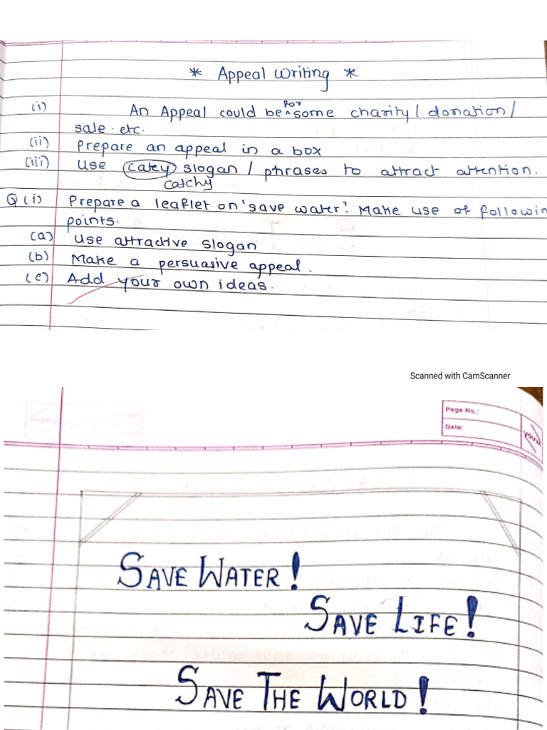 Appeal Writing Exercise | PDF