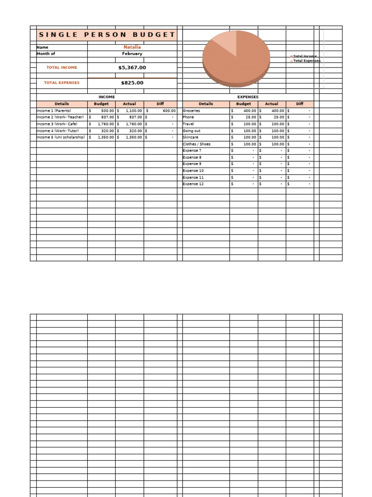 Single Person Budget Template | PDF