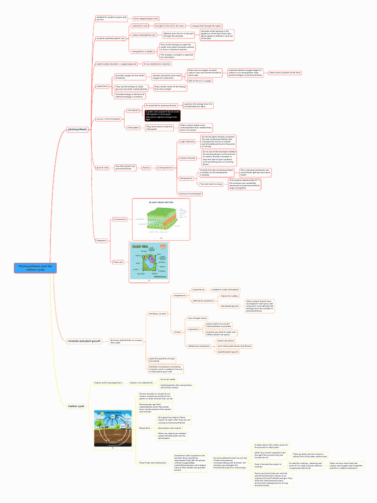 Photosynthesis and The Carbon Cycle | PDF | Photosynthesis | Plants