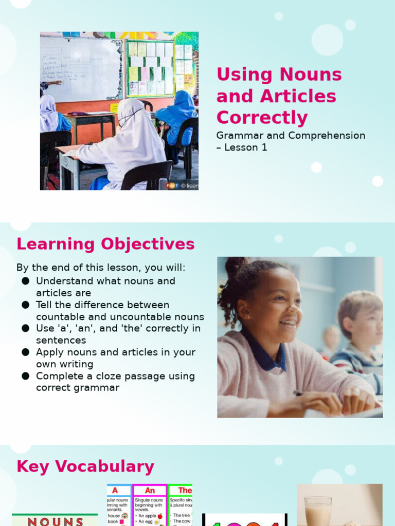 L1 Using Nouns and Articles Correctly | PDF | Noun | Plural