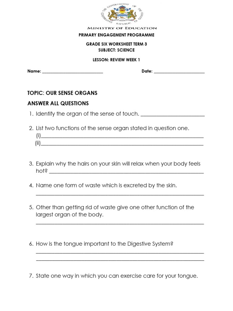 Week 1 Science Review: Sense Organs | PDF | Senses | Skin