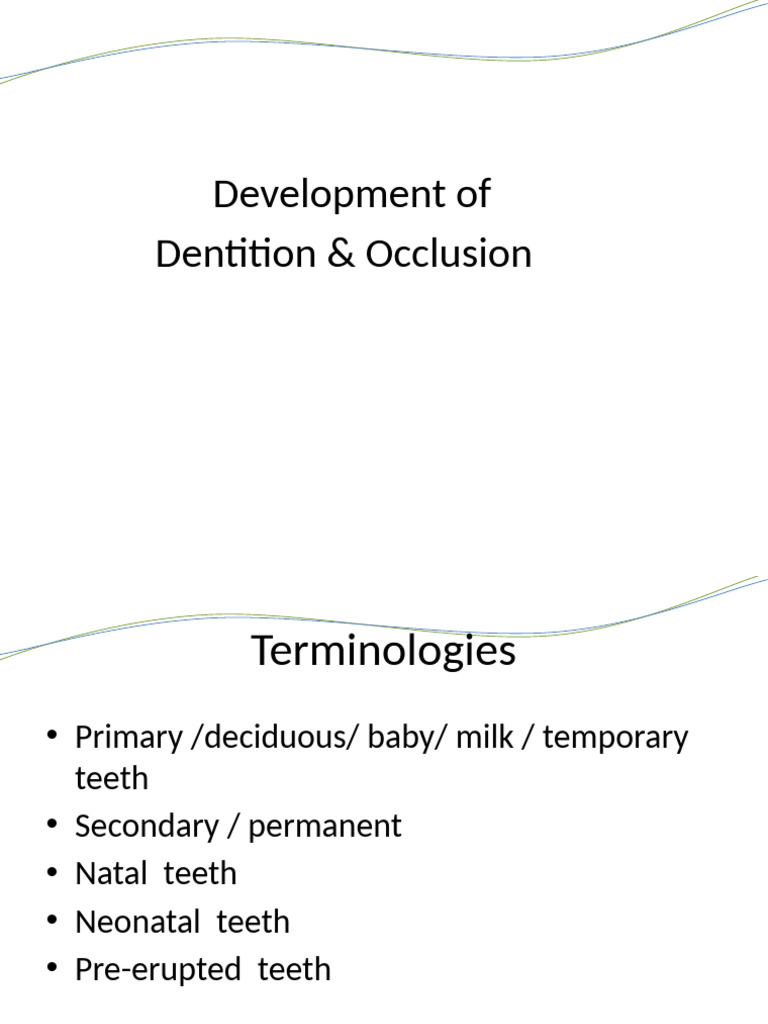 Development of Dentition and Occlusion | PDF | Dental Anatomy | Tooth