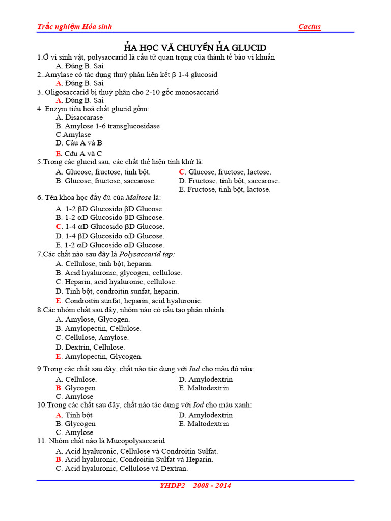 Glucid | PDF