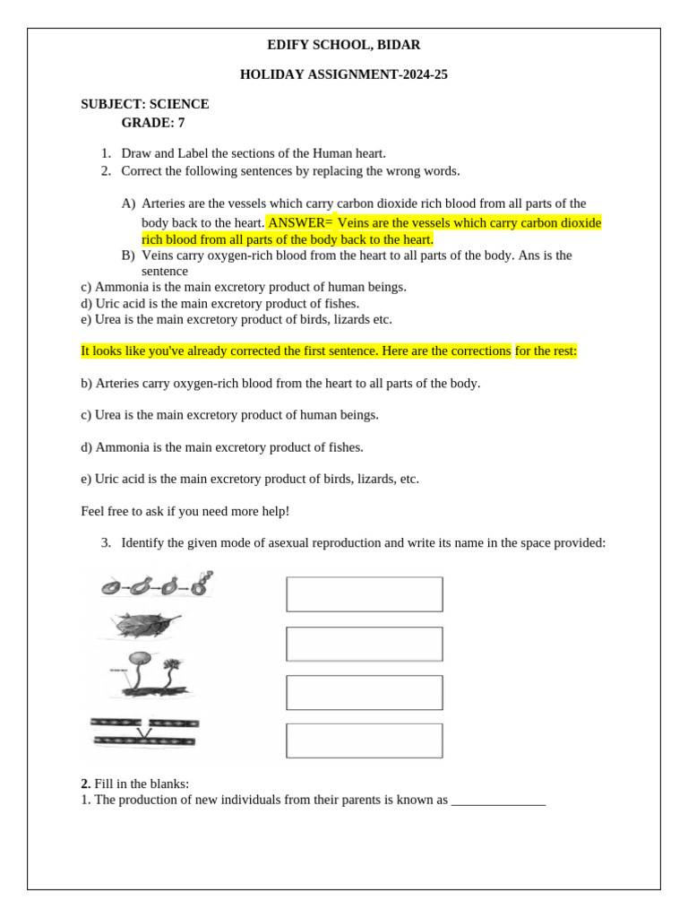Science Revision HW Grade 7-2 | PDF | Seed | Flowers