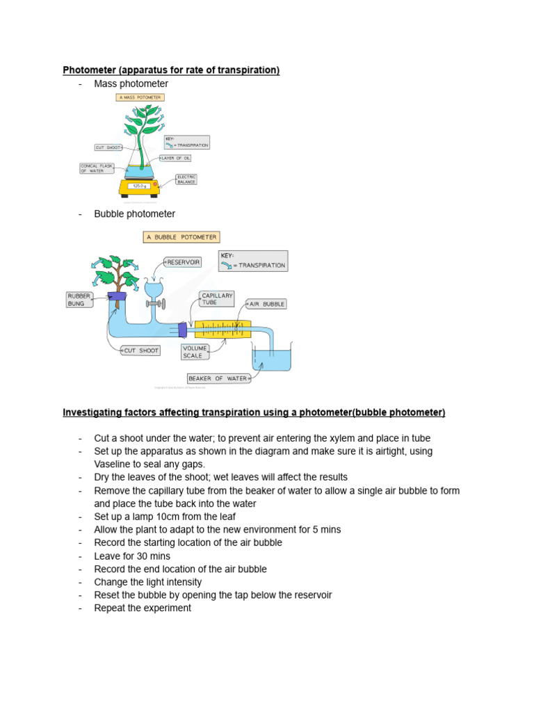 Factors Influencing Transpiration Rates | PDF | Stoma | Plants