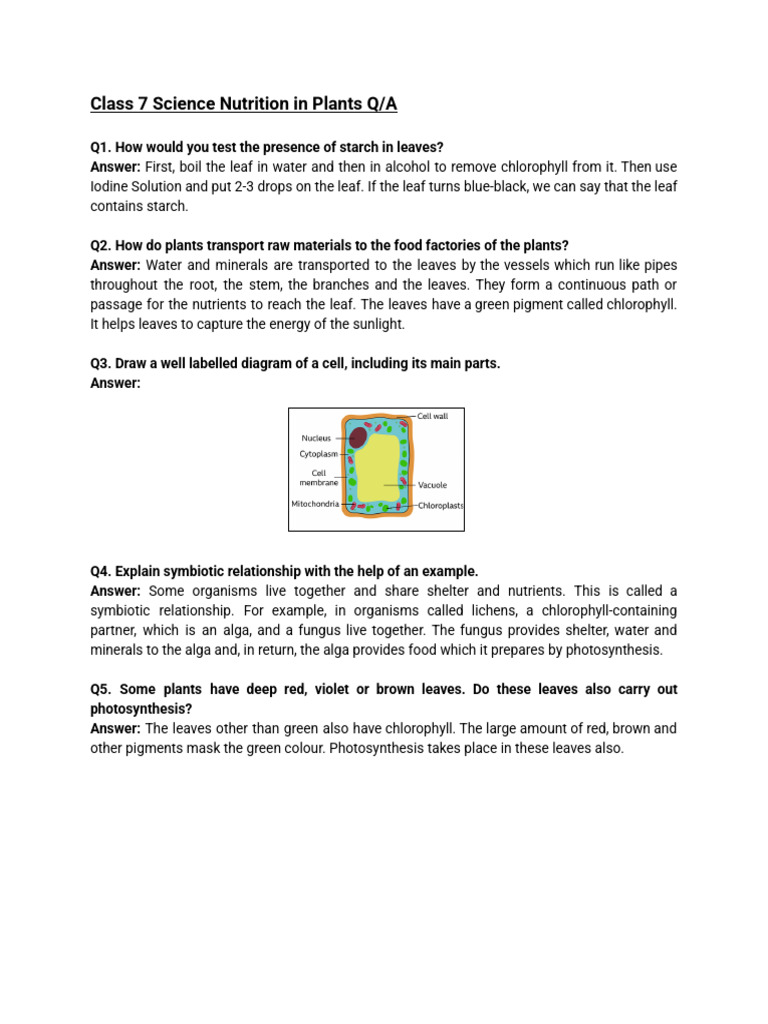 Class 7 Science Notes 2025-26 | PDF