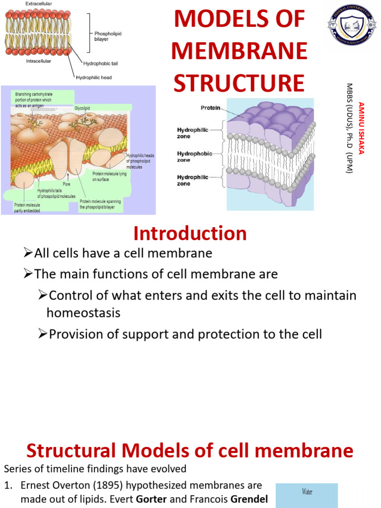 Models of membrane structure | PDF | Cell Membrane | Cell Biology