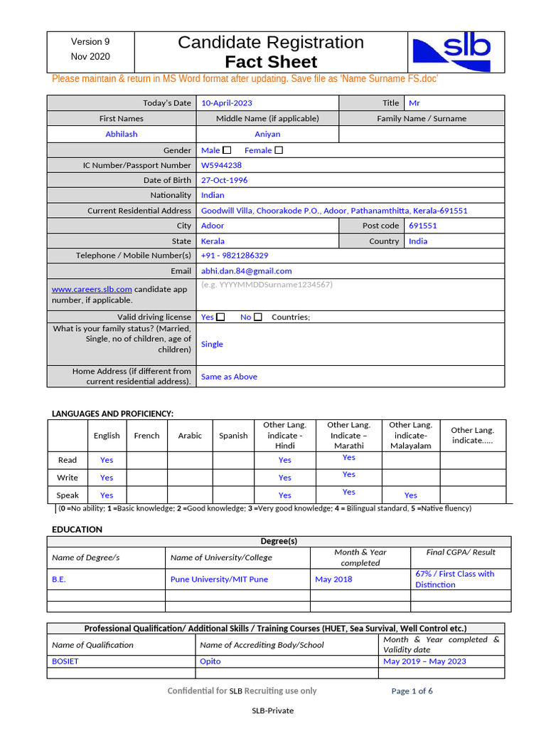 SLB Candidate Fact Sheet - Asia | PDF | Employment | Business