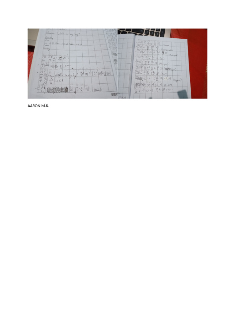 Korea | PDF