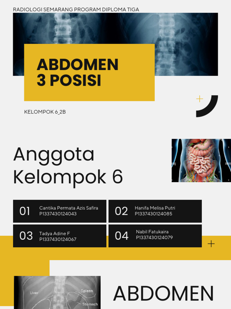 Anatomi Kelompok 6 | PDF