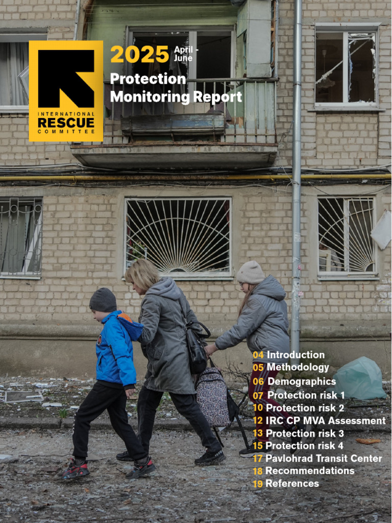 2Q 2025 Protection Analysis Report (ENG) | PDF | Internally Displaced ...
