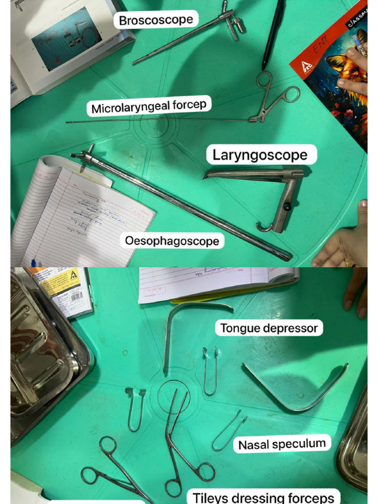 Ent Instruments, Charts, Xrayss | PDF