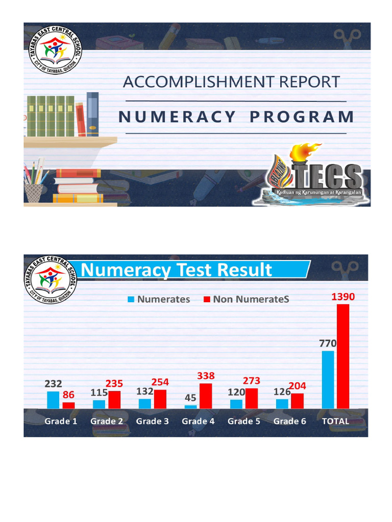 Numeracy Report S.Y. 2023-2024 | PDF