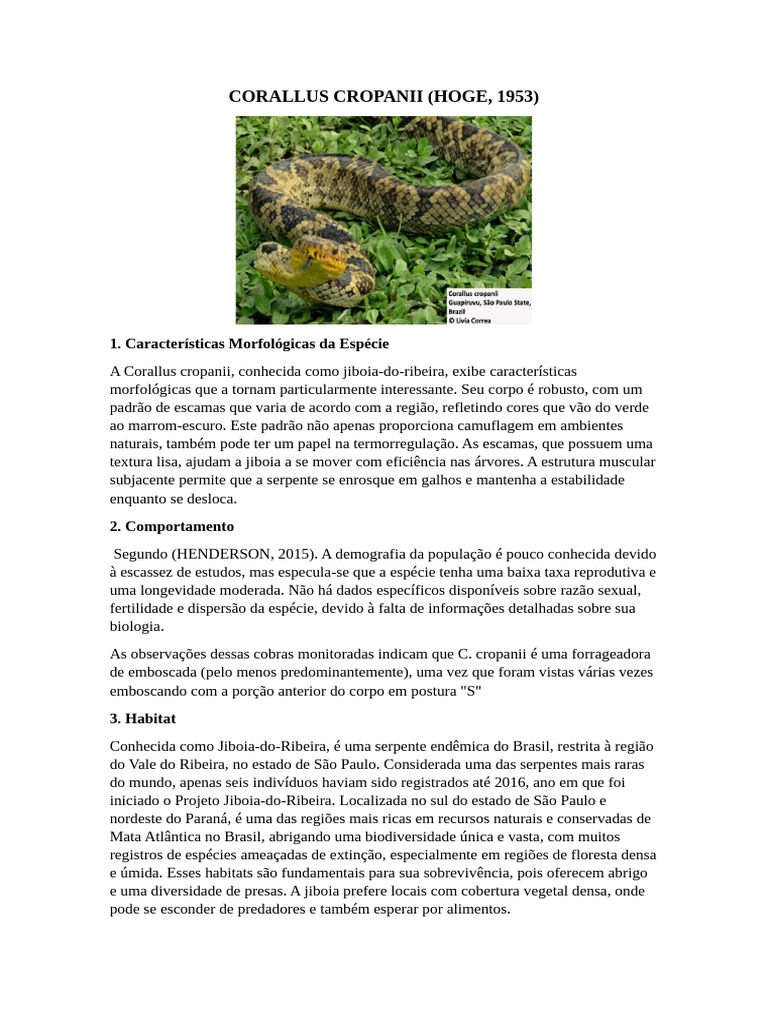CORALLUS CROPANII | PDF | Predação | Habitat