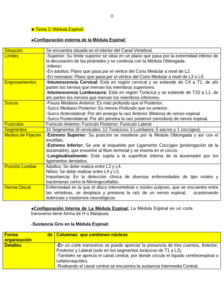 2-Médula Espinal | PDF | Médula espinal | Neurona motora