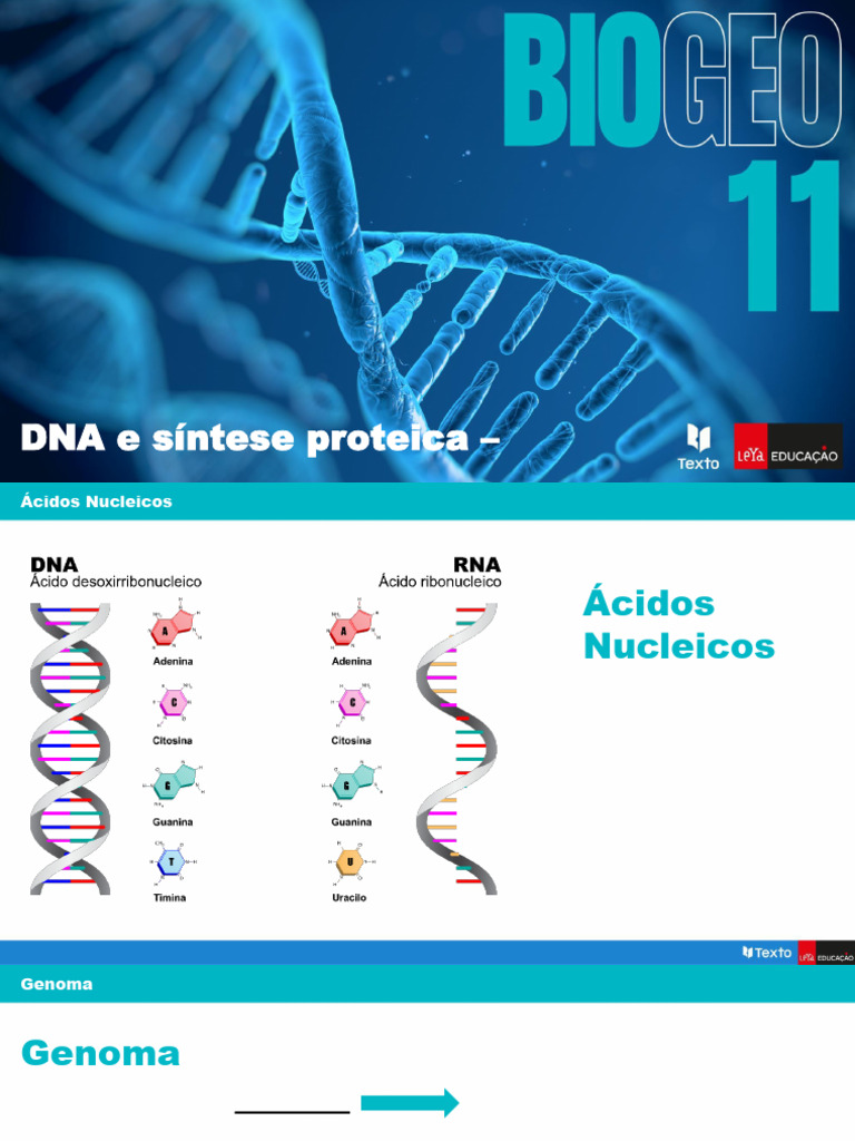 Estrutura e Função do DNA e RNA | PDF | DNA | RNA