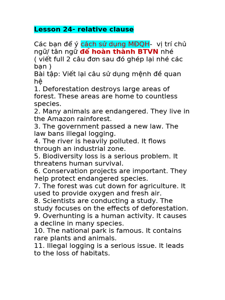 Lesson 24 - Relative Clause | PDF